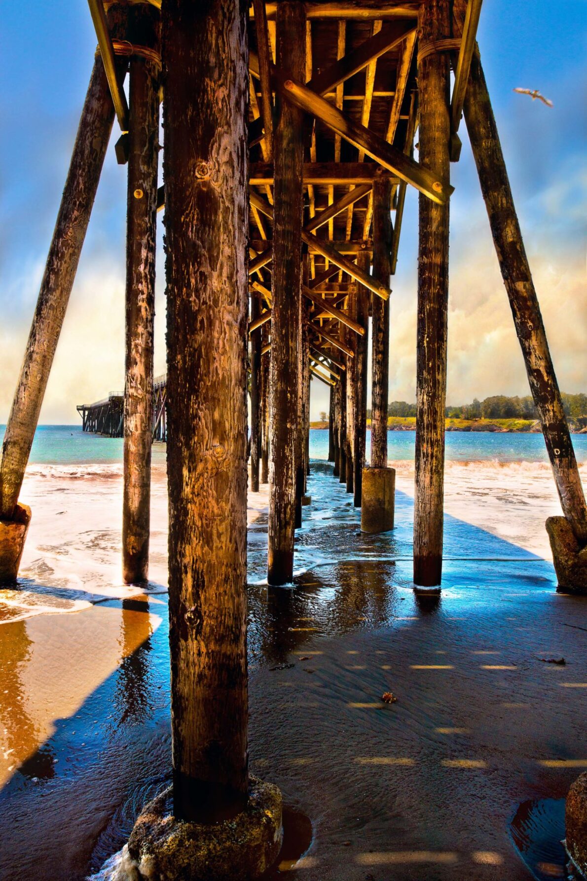 BRIDGES / PIERS / HARBORS